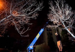 US Contractor’s Cranes Being Used to Hang Iranians