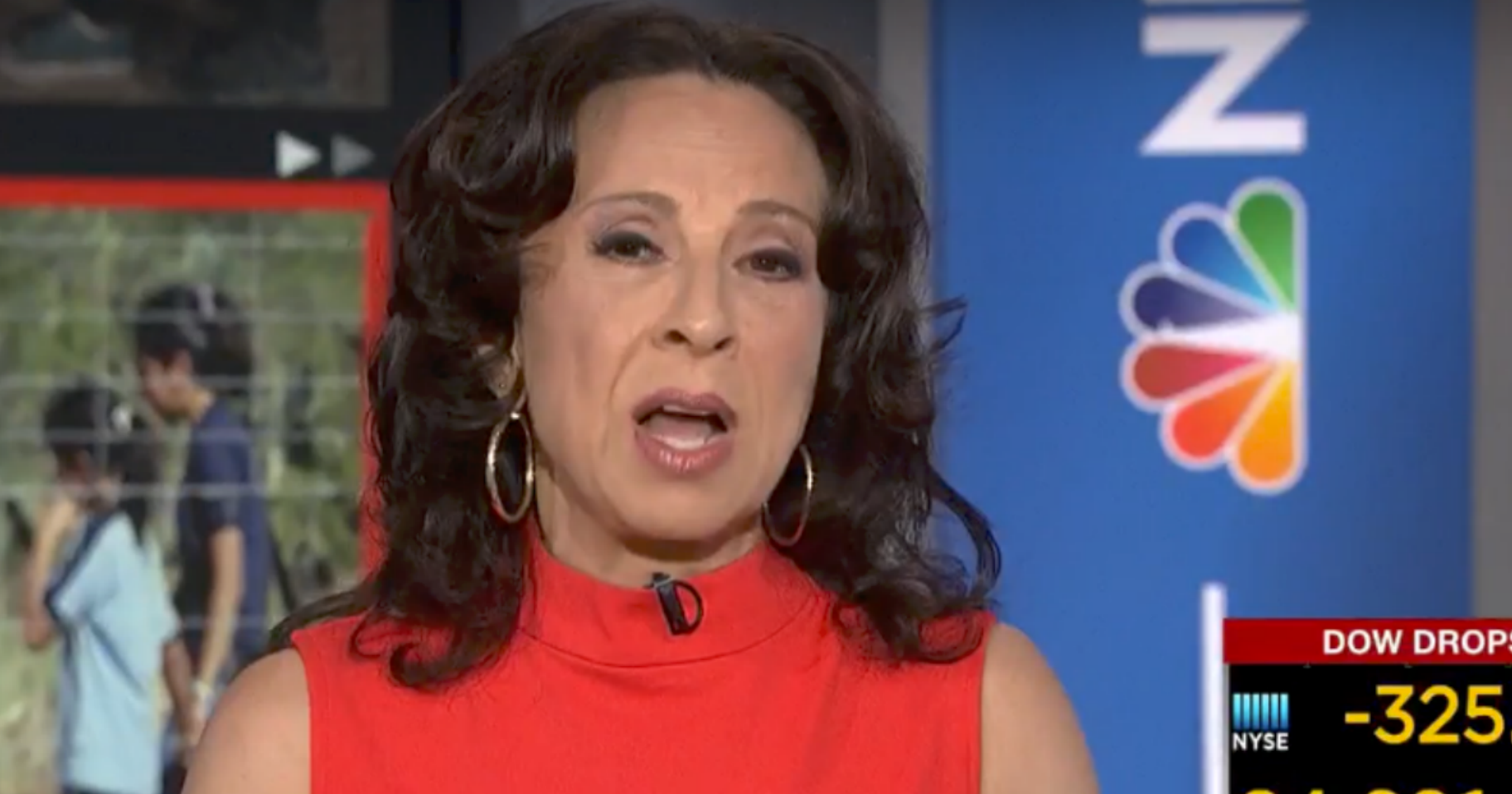 NPR Host: I'm Worried About Pedophiles Getting Jobs at Migrant Shelters