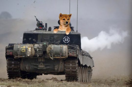 Celebrate National Puppy Day with These Adorable WAR PUPS