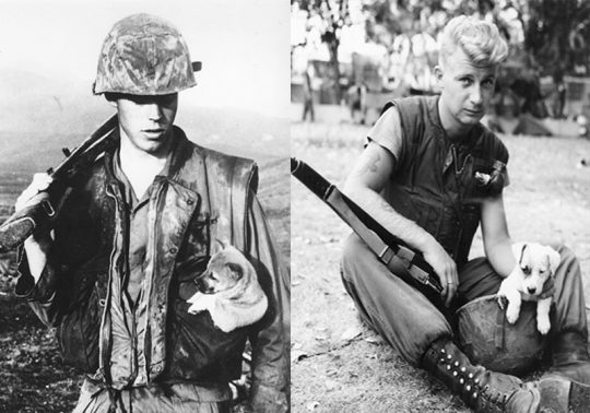 Celebrate National Puppy Day with These Adorable WAR PUPS
