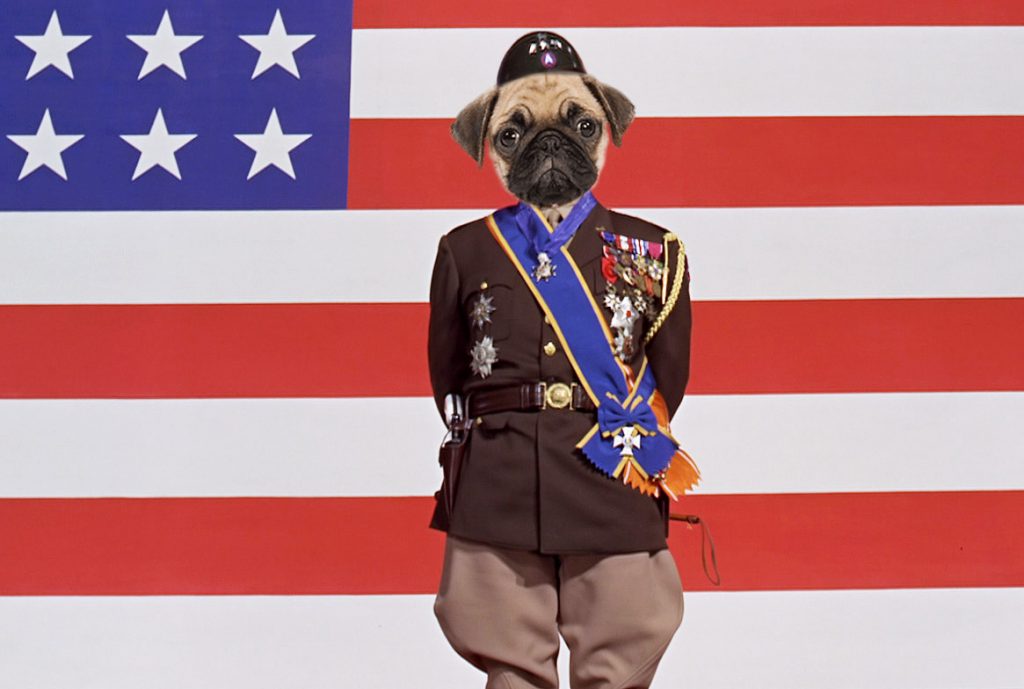 Celebrate National Puppy Day with These Adorable WAR PUPS