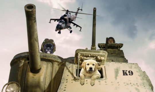 Celebrate National Puppy Day with These Adorable WAR PUPS