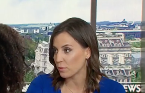 MSNBC Anchor: Dem Healthcare for Illegal Immigrants 'Christmas' for Trump