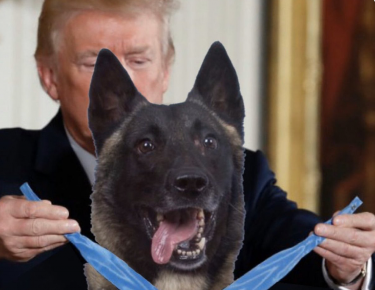 Trump's Dog Meme Has Media Howling