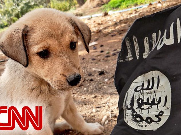 U.S.-Backed Forces Steadily Advancing in Raqqa Despite Desperate ISIS ...