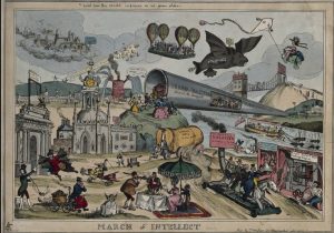 The Obama Bird Genocide Is Out of Control - Washington Free Beacon