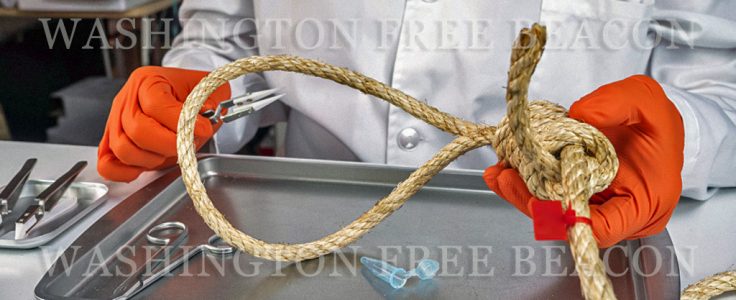 BREAKING: Noose with Jeffrey Epstein's DNA Found in Raid of Clinton Home