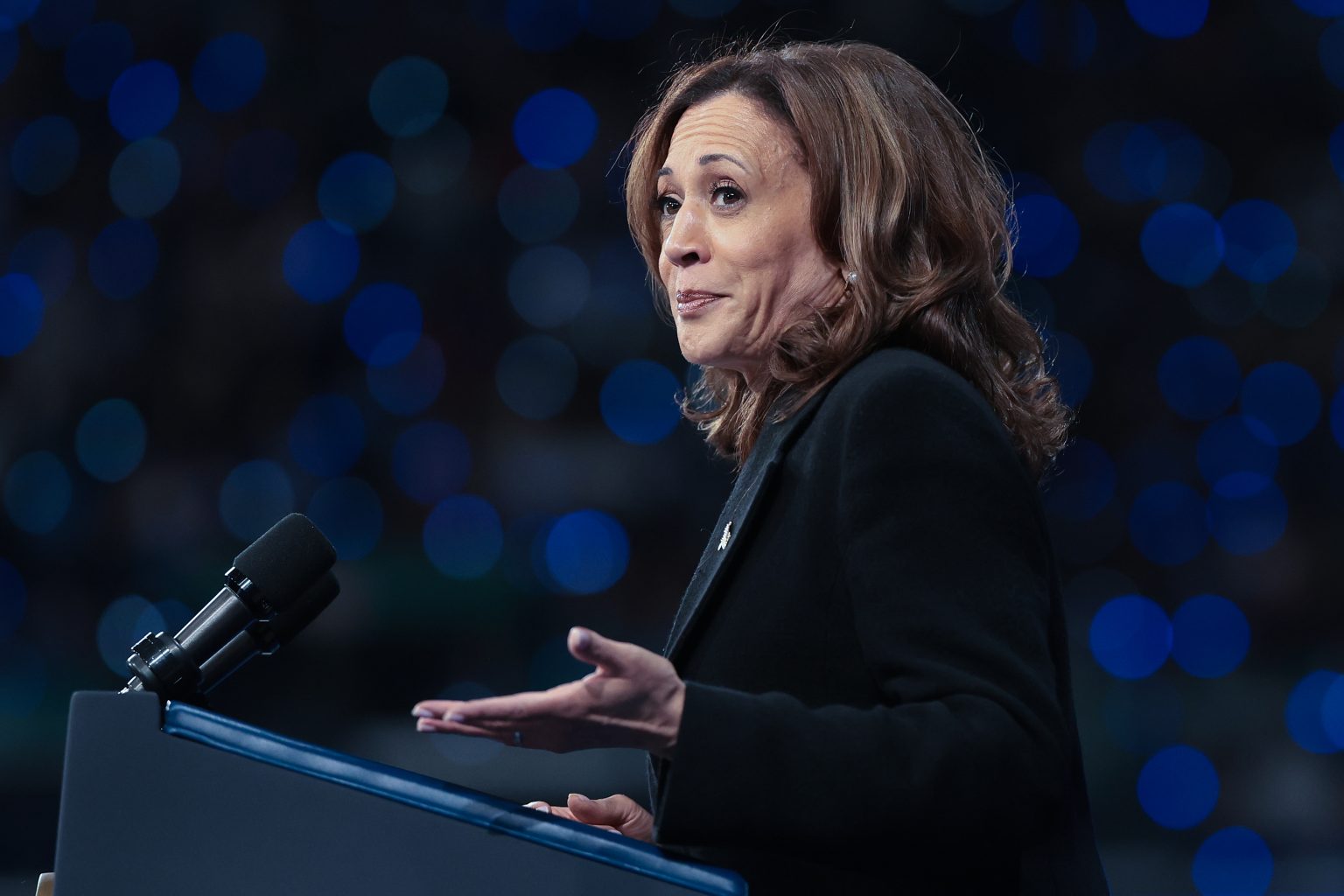 Blowing the Blue Wall? Democratic Strategists, Donors Fear Harris Is ...