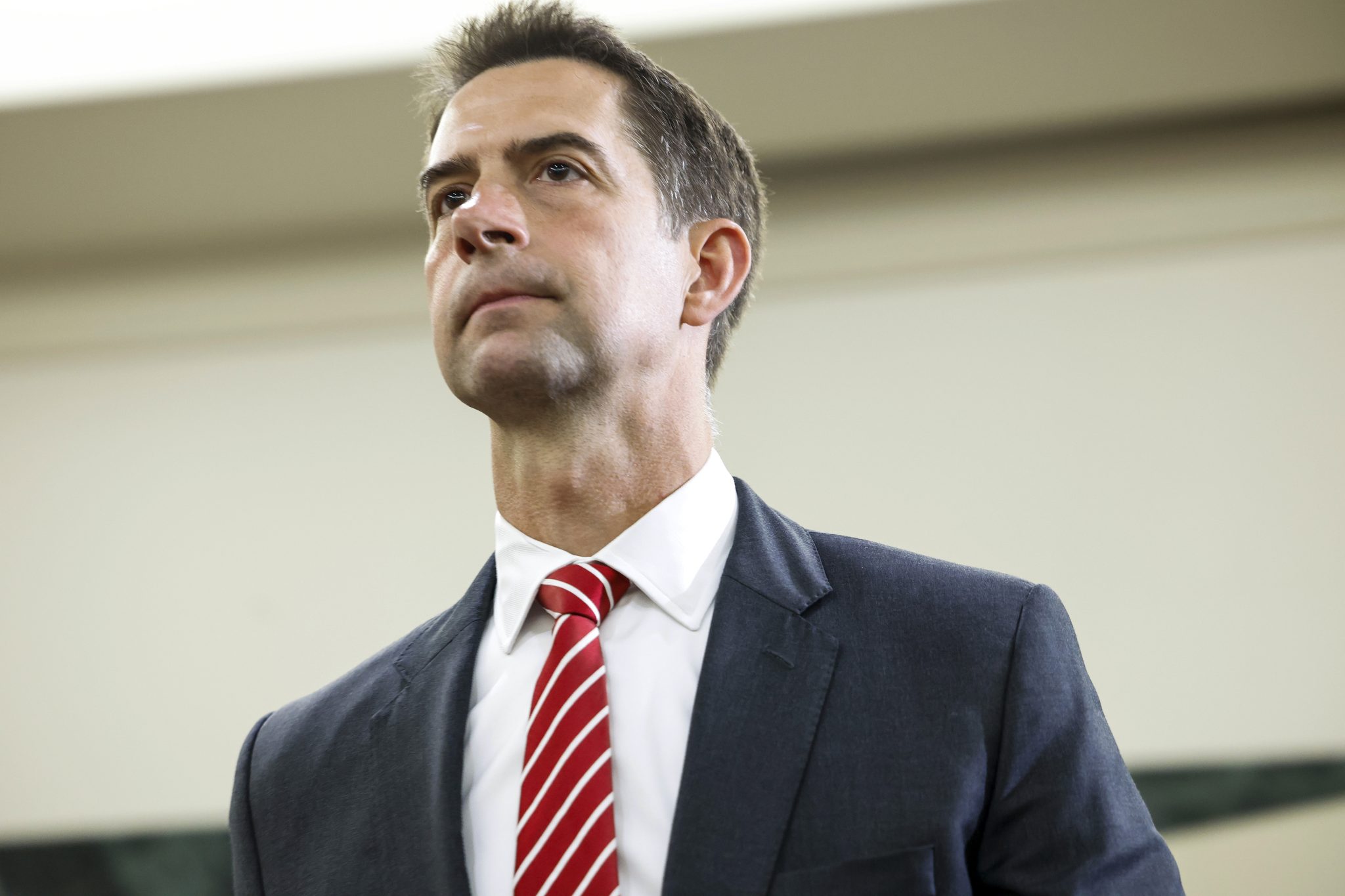 Tom Cotton Launches Reelection Bid With $8 Million on Hand ...