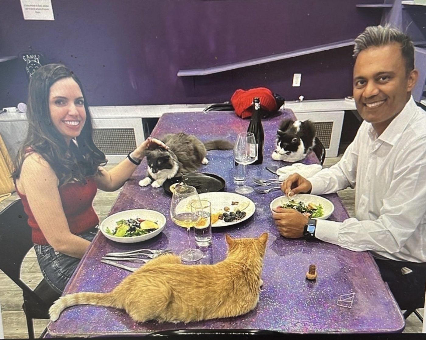 Amish Shah Goes Down in Arizona's 1st, Setting Stage for Permanent ...