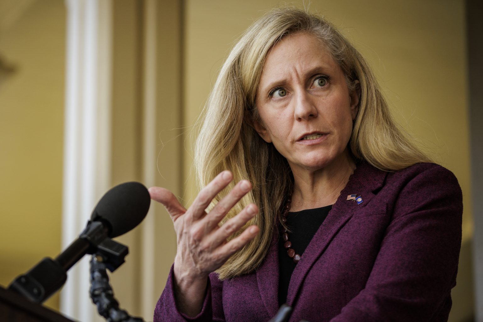 Dem Gubernatorial Candidate Abigail Spanberger Vows To Stop Virginia ...