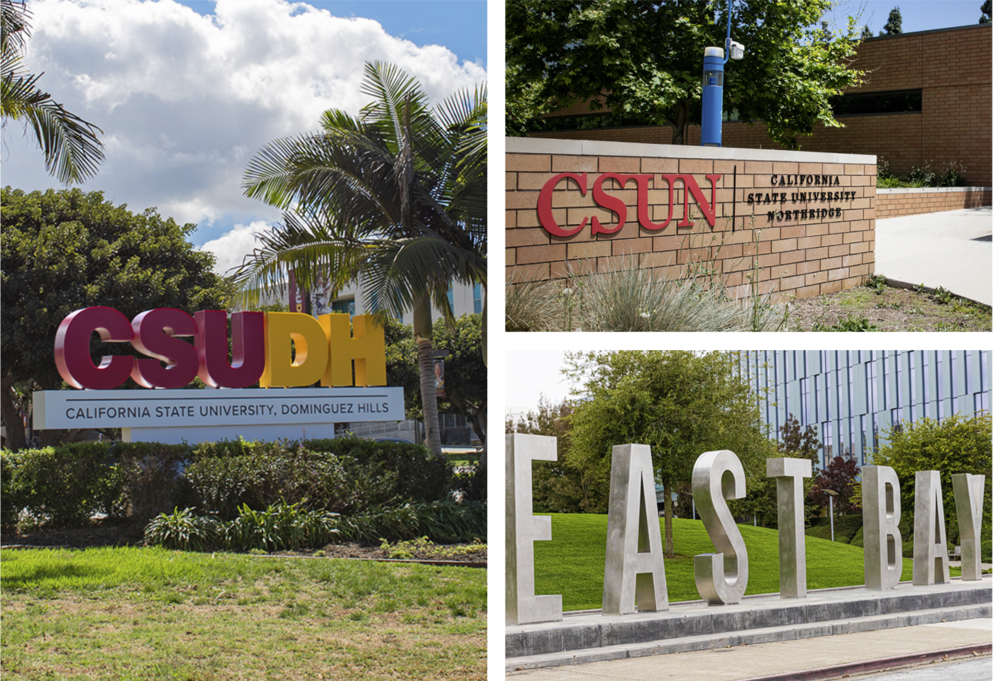 Cal State Schools Require Students To Take DEI Classes To Graduate ...