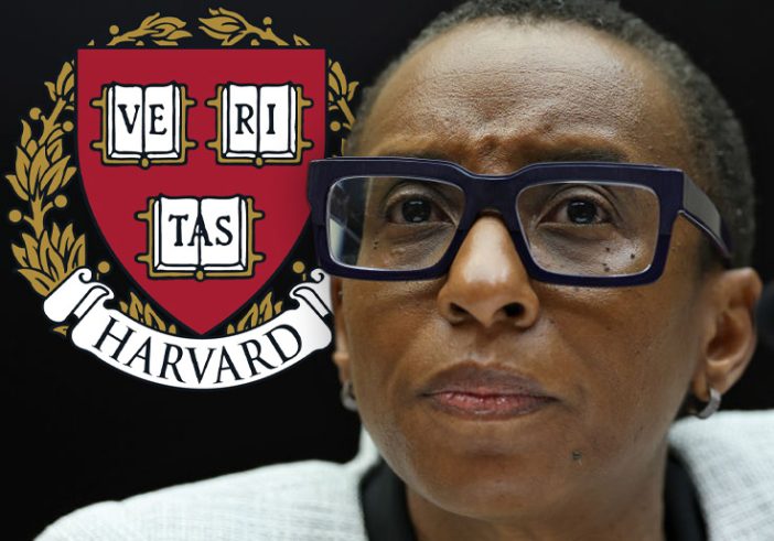 EXCLUSIVE: We Obtained the Syllabus for Claudine Gay’s New Harvard ...